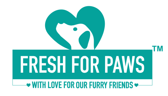 The journey of Fresh for Paws founder Srishti Bhatia | Business Outreach