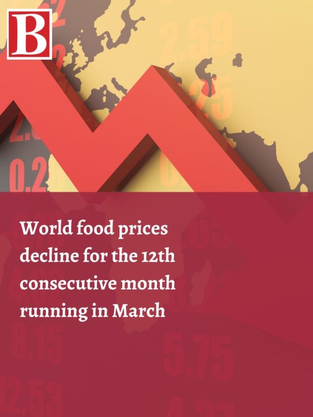 World food prices decline for the 12th consecutive month running in ...