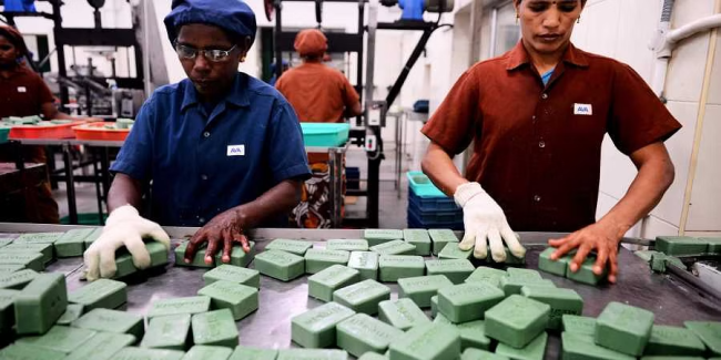 The Inspiring Story of Medimix | Ayurvedic Brand