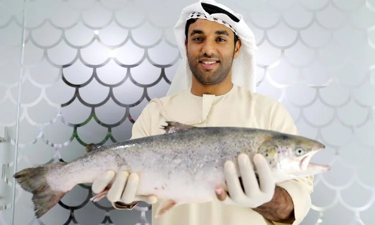 What Are the Top 10 Business Ideas to Begin in the UAE?