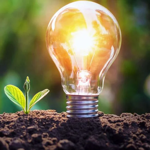 Scientists Develop ‘Electronic Soil’ to Aid Crop Growth.