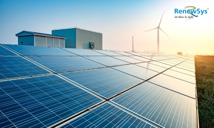 Top 12 Solar Companies in India