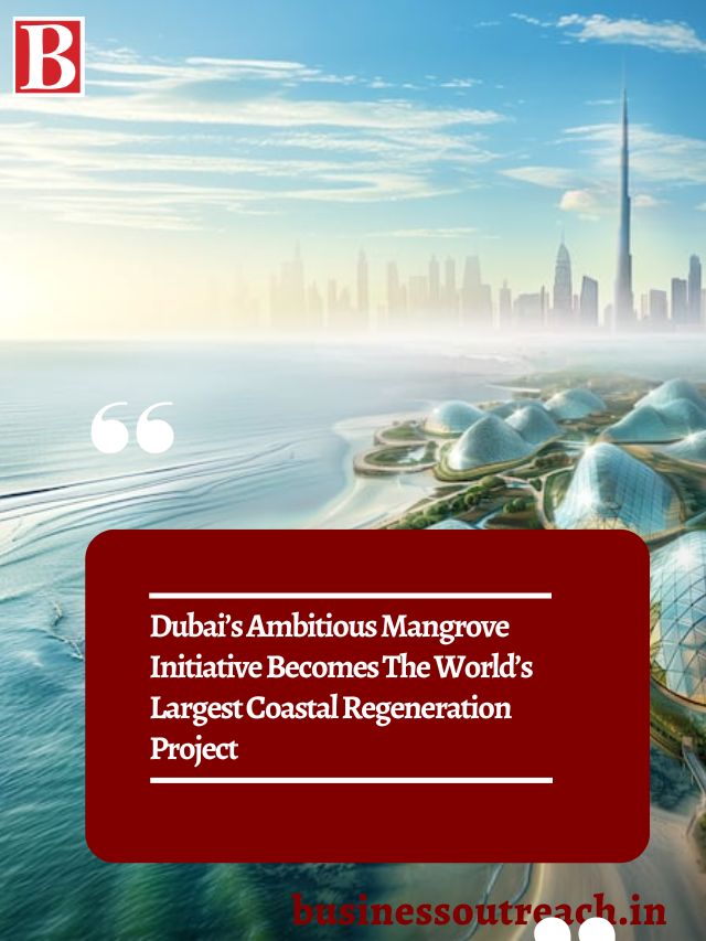 Dubai’s Ambitious Mangrove Initiative Becomes The World’s Largest ...