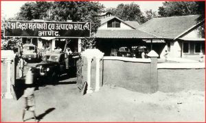 Amul Success Story: Journey of India’s Dairy Revolution