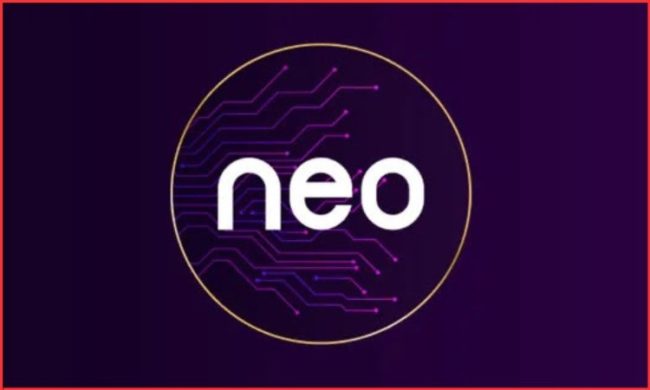 Neo Funding News: Raises $19M, Valuation at $686M